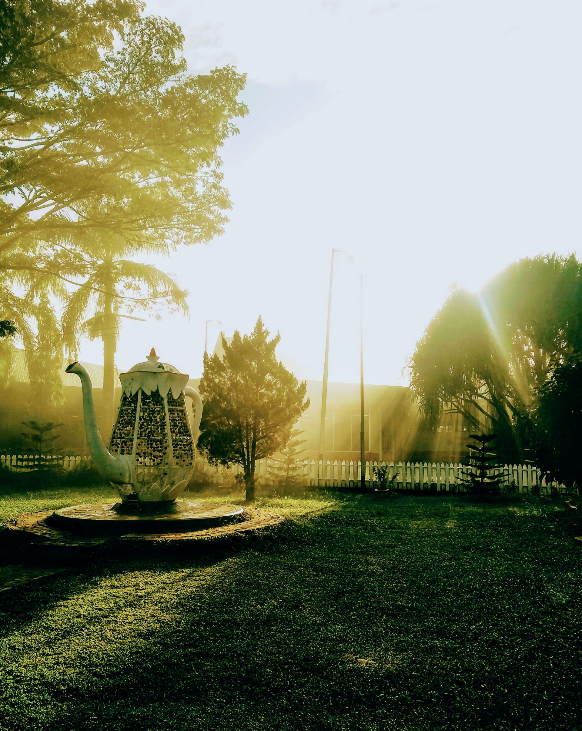 Why Sabah Tea Garden Is The Best Place To Visit For Tea Lovers