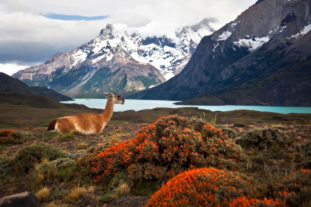 Explore The Underrated Paradise That Is Chile | Travel.Earth