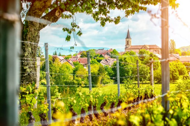 6 Gorgeous Vineyards in France for Wine-Lovers | Travel Earth