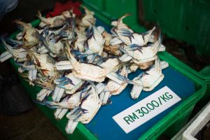 7 Interesting things we found in Sabah Market