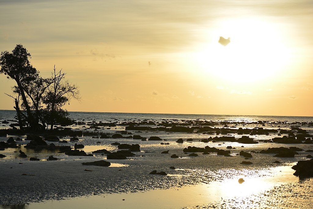 The Best Things To Do In Andamans | Travel Earth