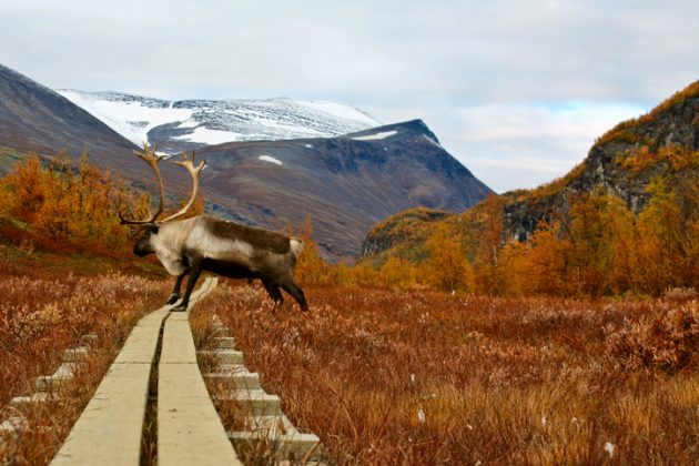 'Green' Countries Striving For Sustainable Living | Travel.Earth