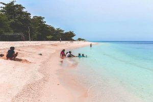 Wonderful Pink Beaches from around the World