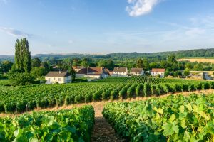 12 Of The Best Day Trips From Paris | Travel.Earth