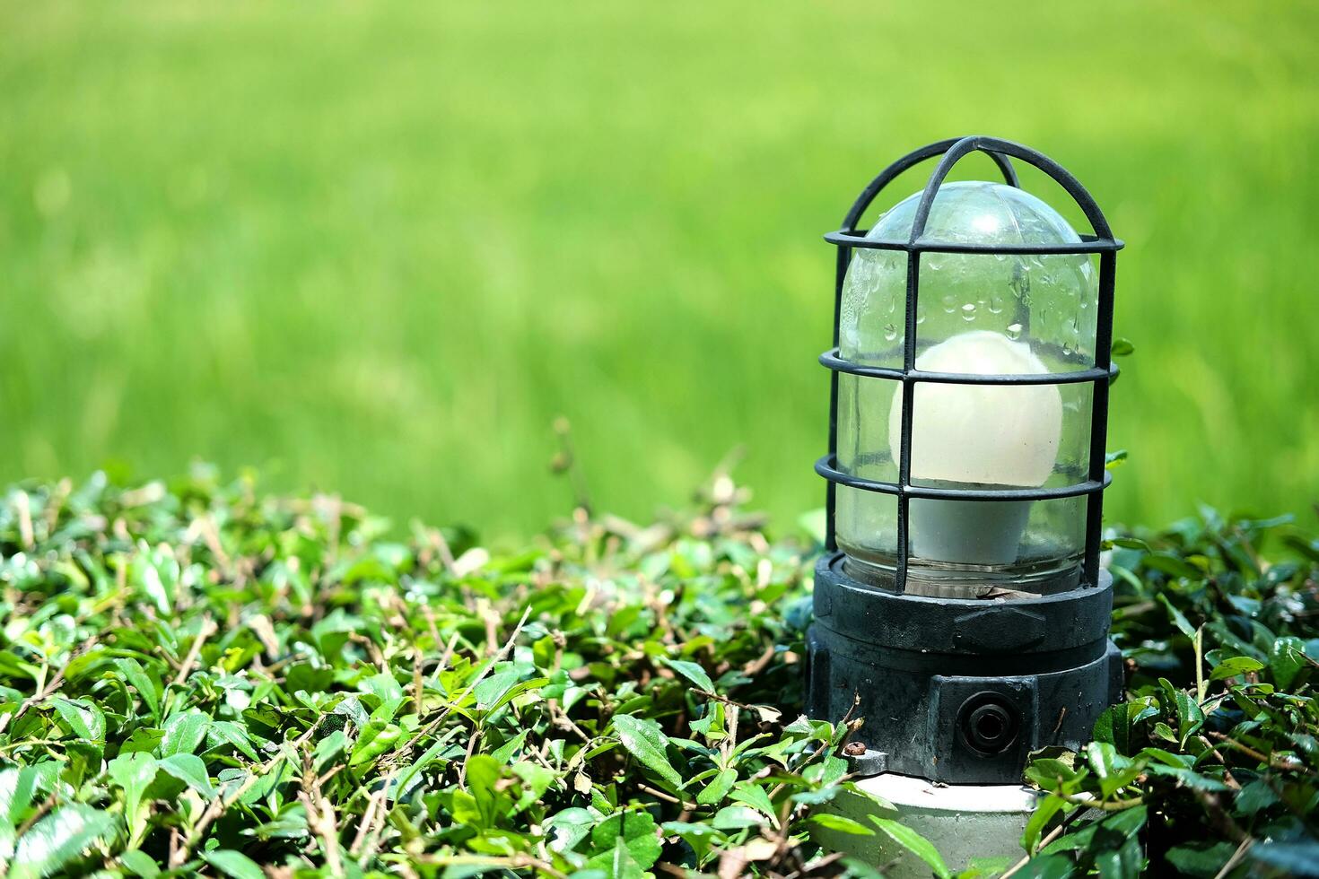12 Must Have Eco-Friendly Travel Products To Travel Green