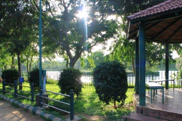11 Famous Parks To Visit In Bangalore: The Garden City Of India - First ...
