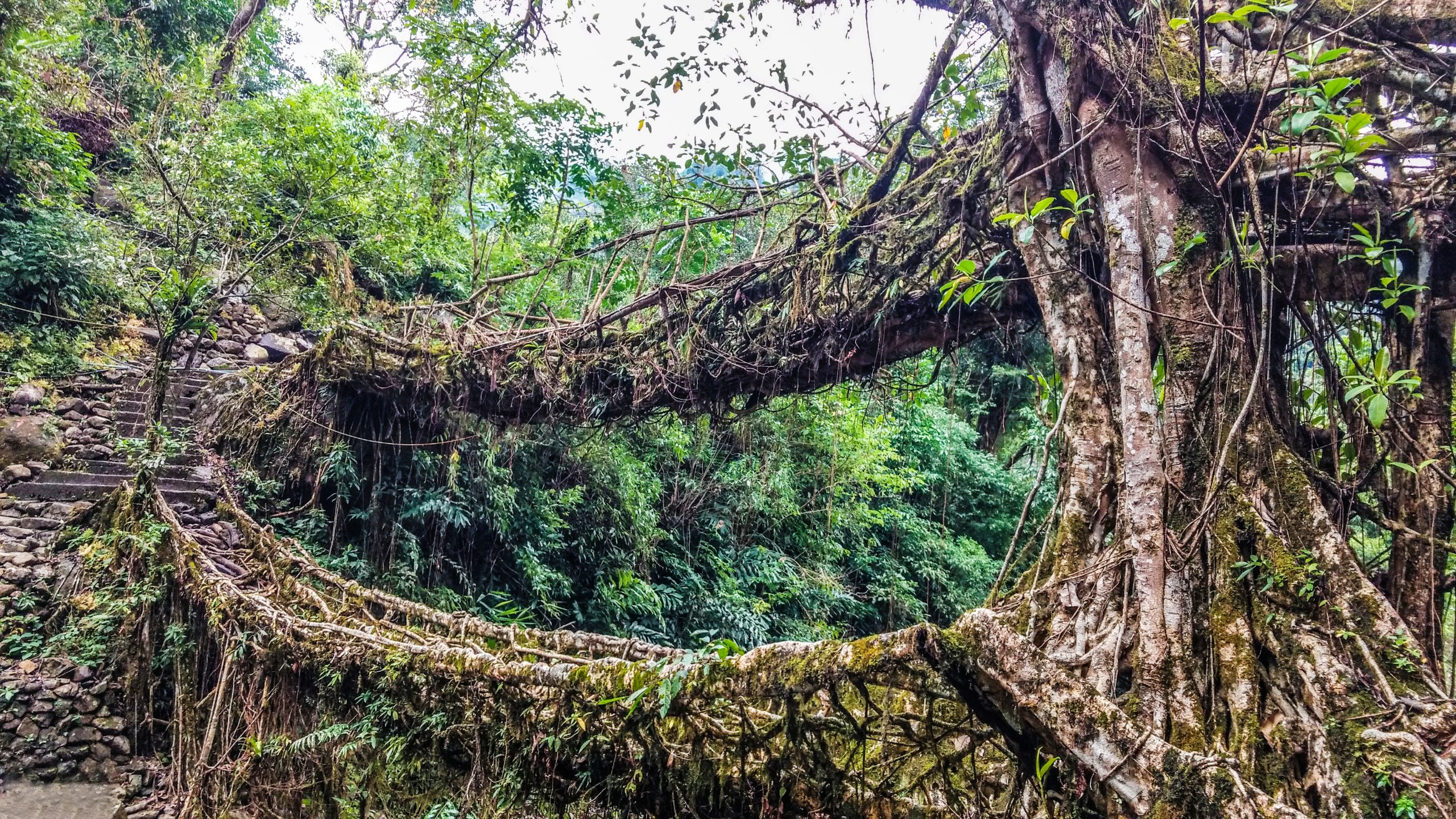 Discover 8 Of The Wettest Places On Earth Discover 8 Of The Wettest Places On Earth