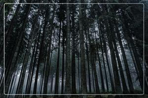 Filming Locations Of Netflix’s Popular Show ‘Dark’ | Travel.Earth