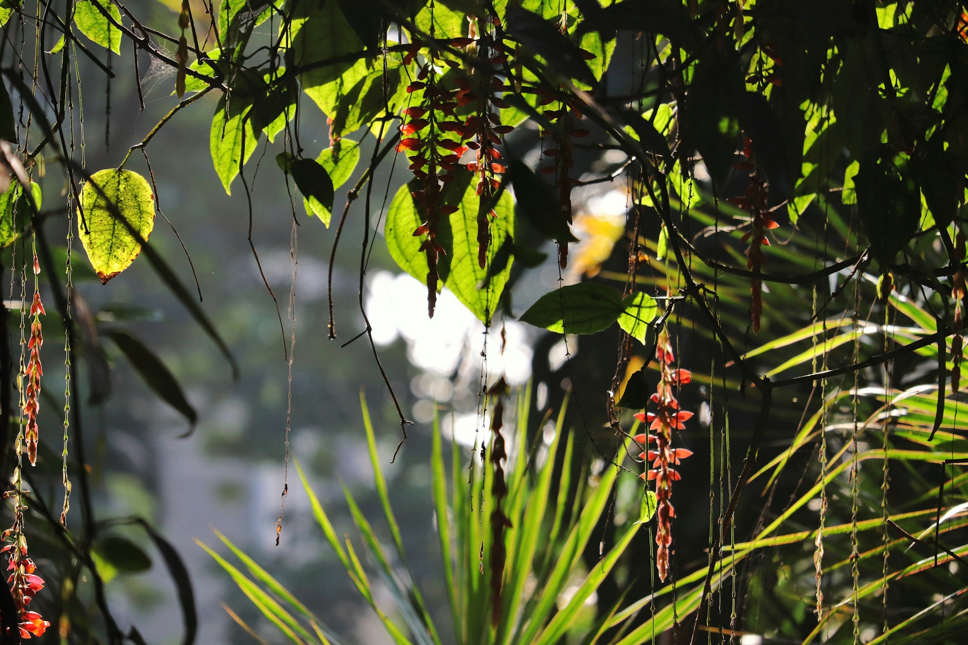 A Guide To Cubbon Park In Bangalore