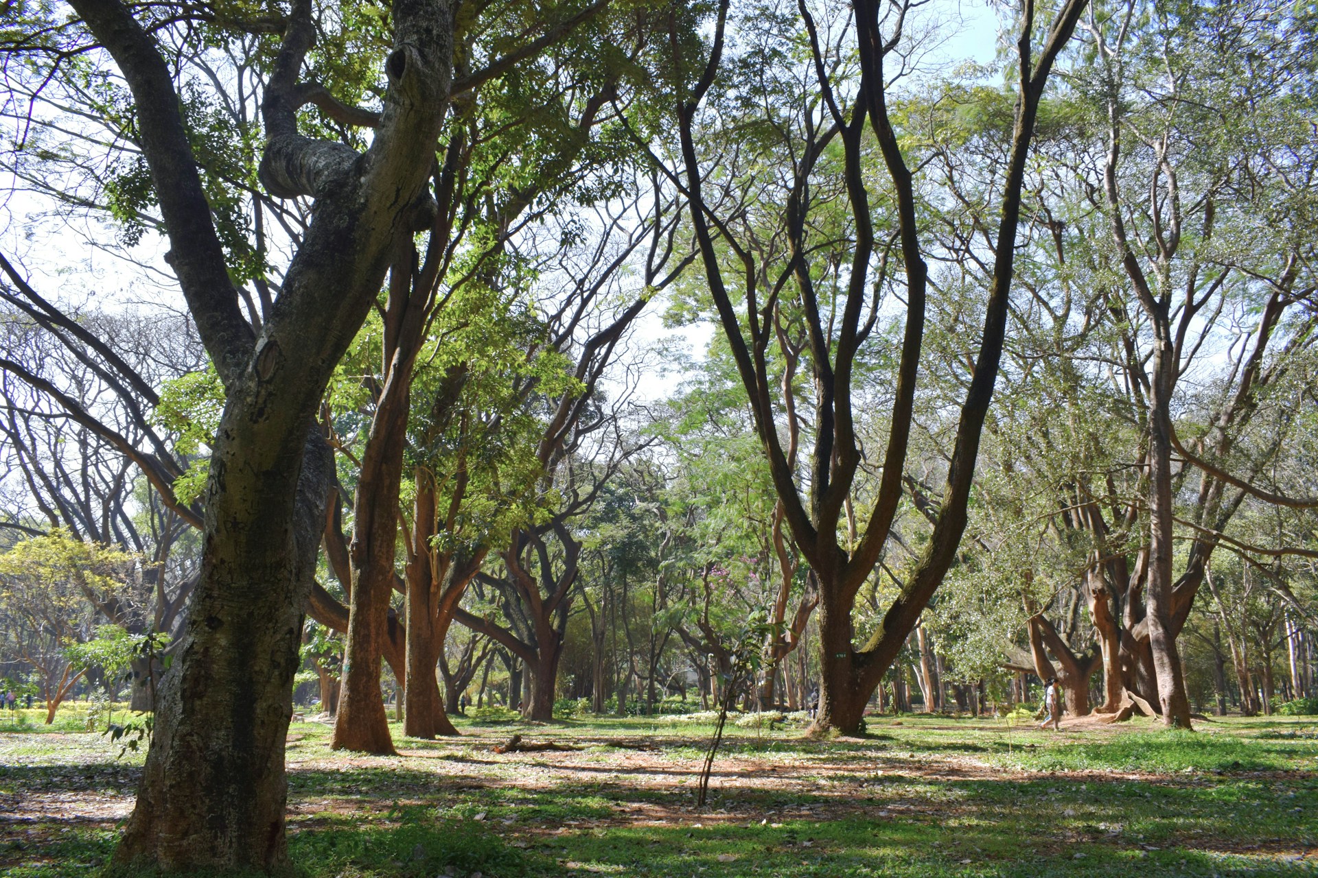 A Guide To Cubbon Park In Bangalore