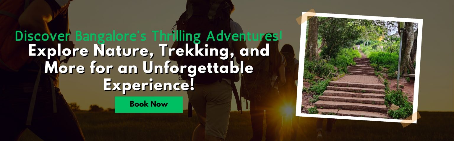 Area 83 Resort Bangalore