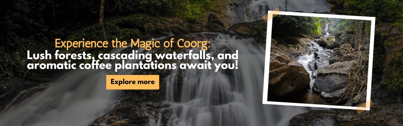 Iruppu Falls Guide: A Nature’s Jacuzzi
