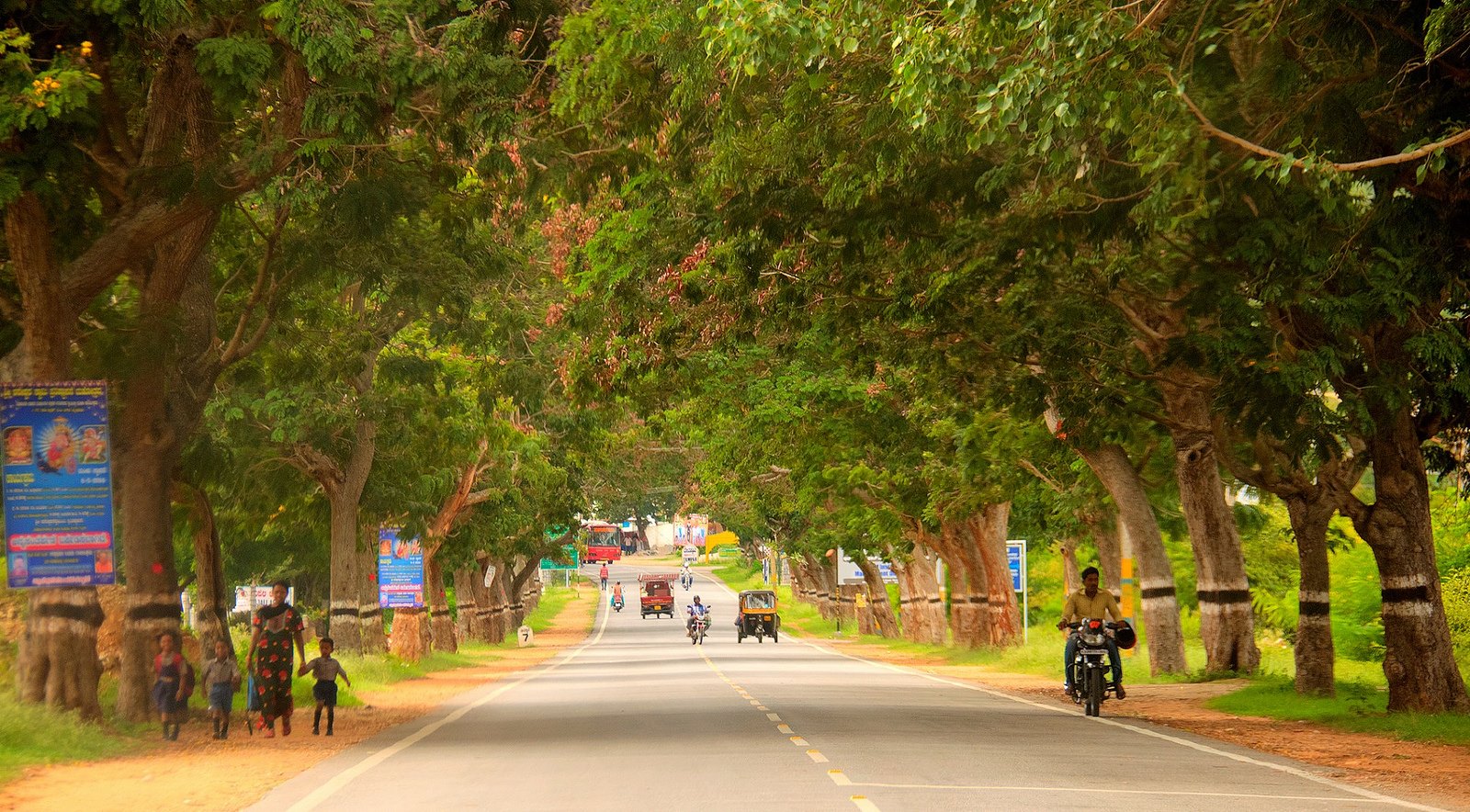 A Complete Guide To Chamundi Hills