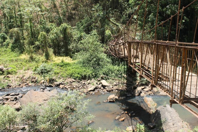 Complete Guide To Abbey Falls In Coorg