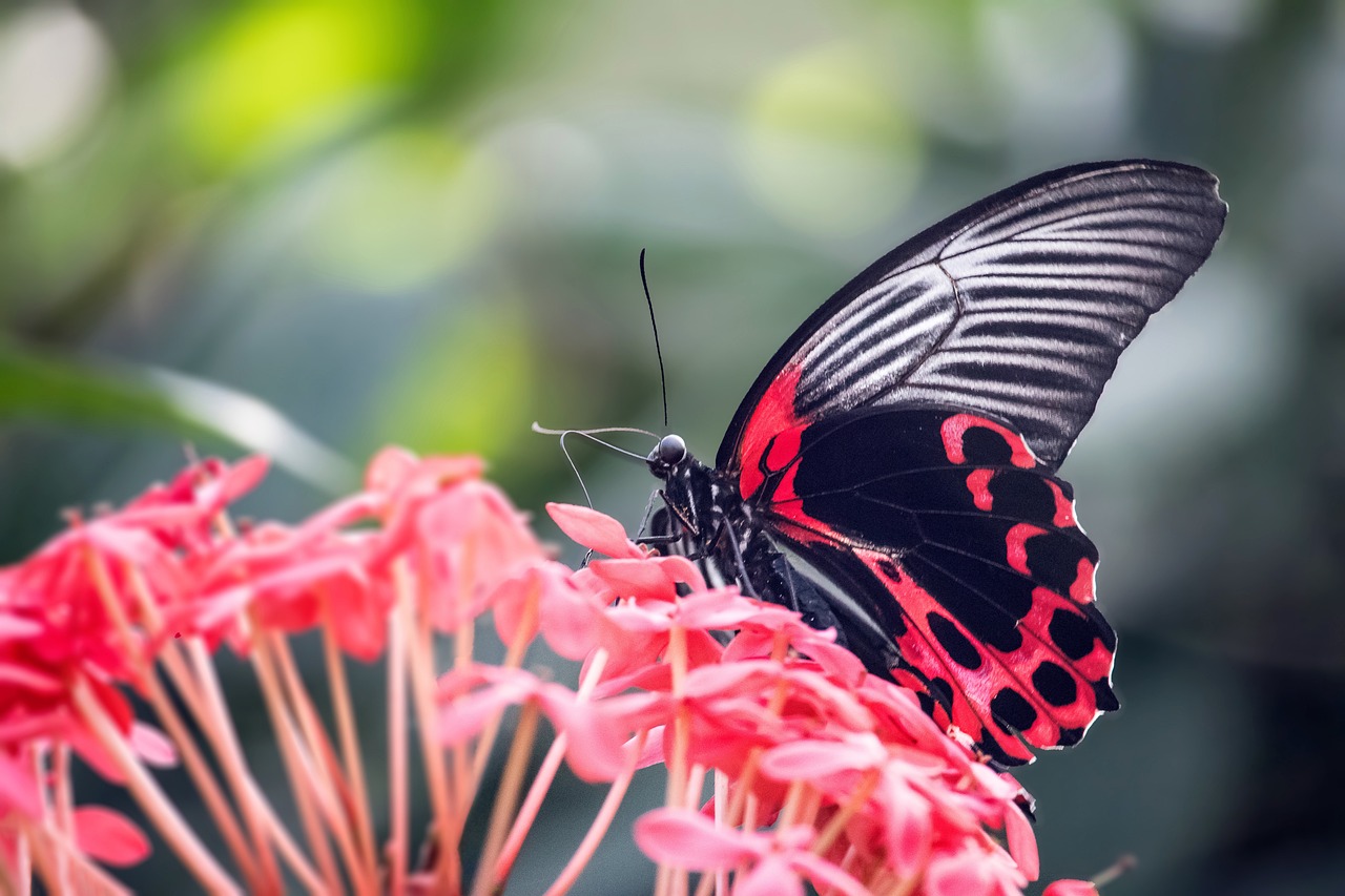 Best Things To Do In Sentosa Island Singapore