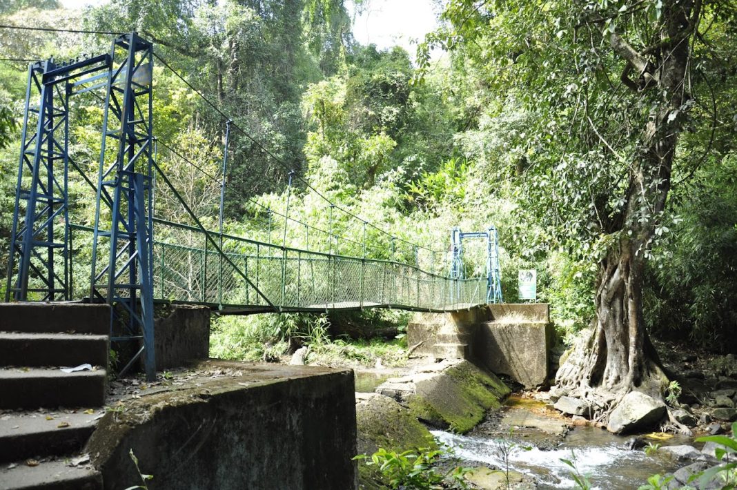 Iruppu Falls Guide: A Nature’s Jacuzzi