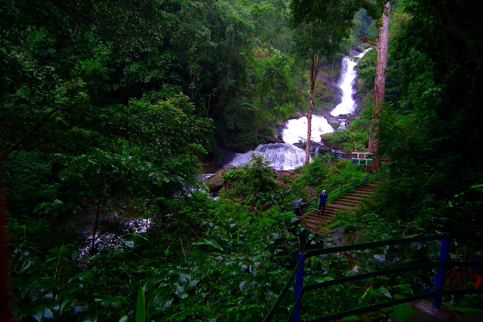 Iruppu Falls Guide: A Nature’s Jacuzzi