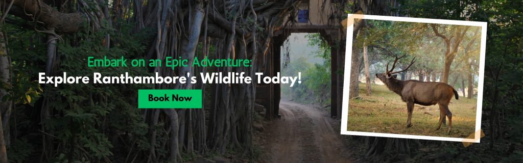 7 Wildlife Sanctuaries And National Parks In Rajasthan