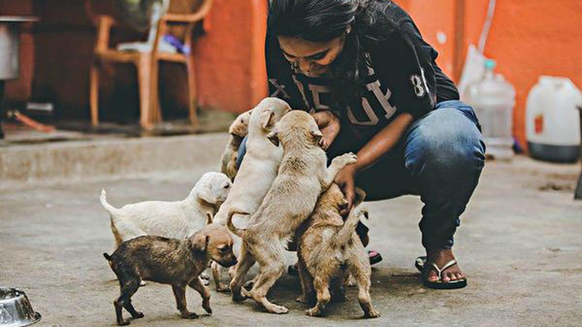 10 Best NGOs In Bangalore For Helping The Needy