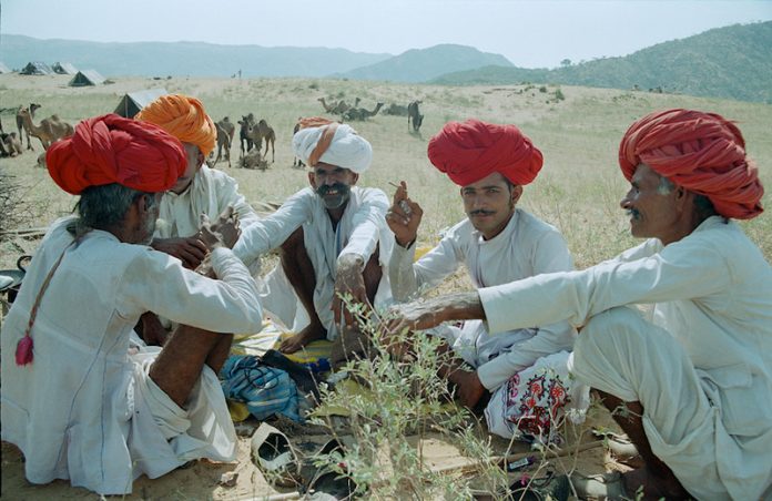 15 Best Activities To Do In The Thar Desert