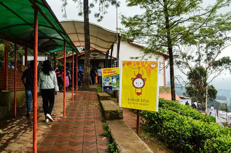 Doddabetta Peak Ooty: Nature’s Hidden Gem