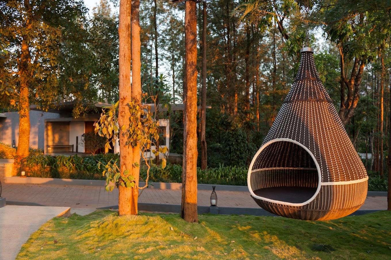 Top 8 Chikmagalur Resorts Amidst Nature