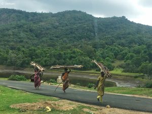 11 Best Places To Visit In Kodaikanal, Tales Of Nature's Bounty