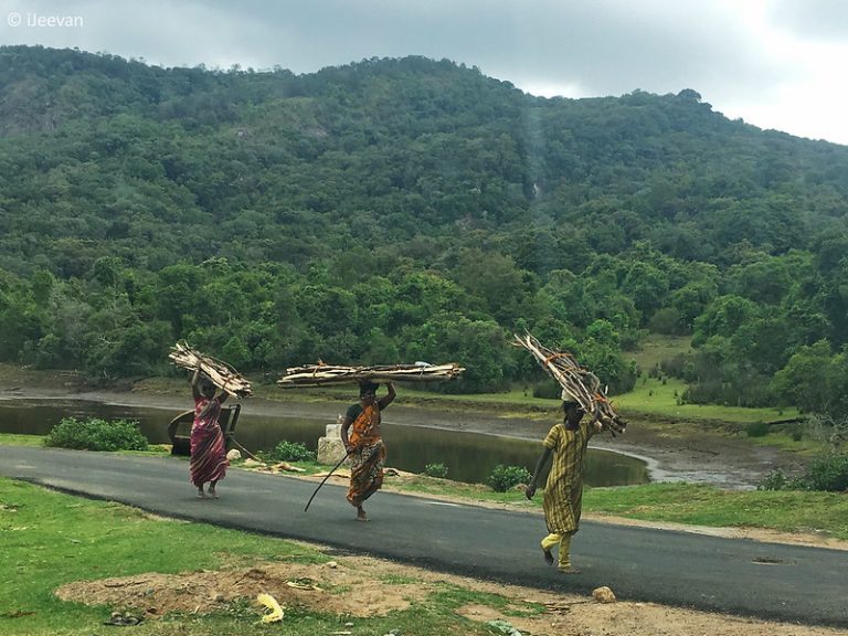 11 Best Places To Visit In Kodaikanal, Tales Of Nature's Bounty