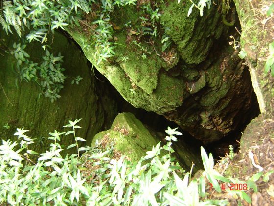 A Guide To Pillar Rocks Kodaikanal