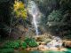 Catherine Falls Kotagiri Complete Guide
