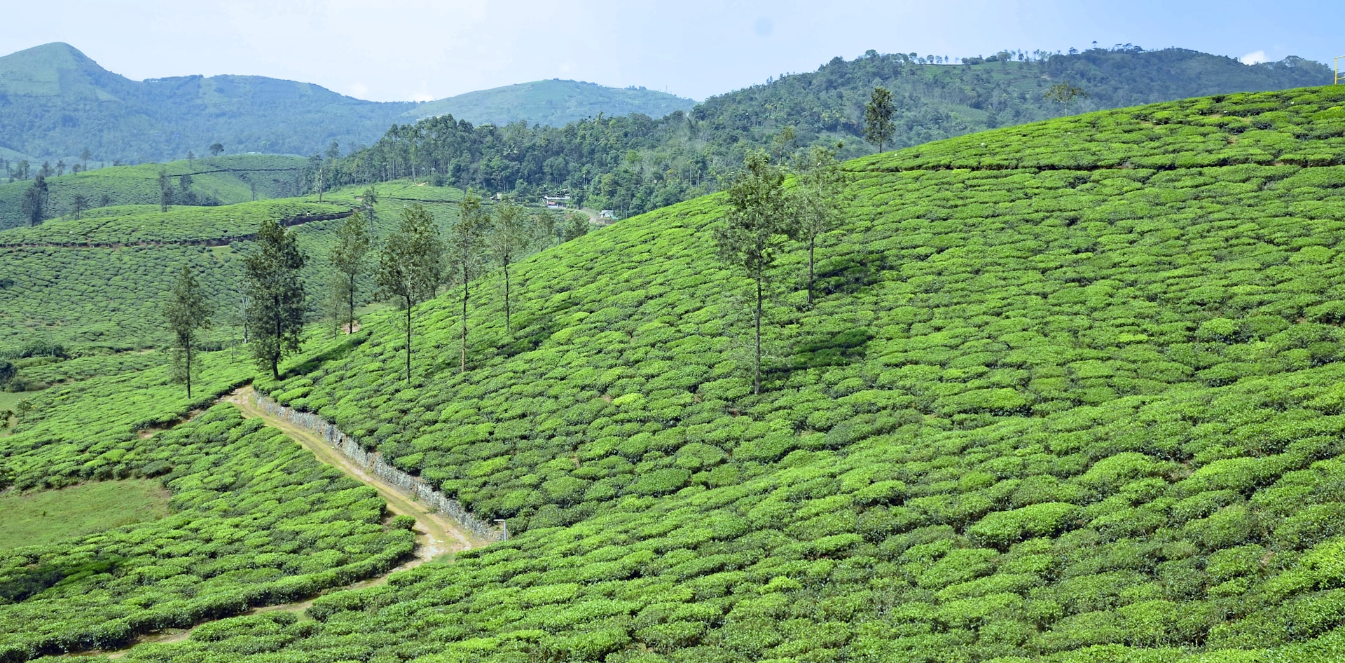 7 Best Places To Visit In Kotagiri