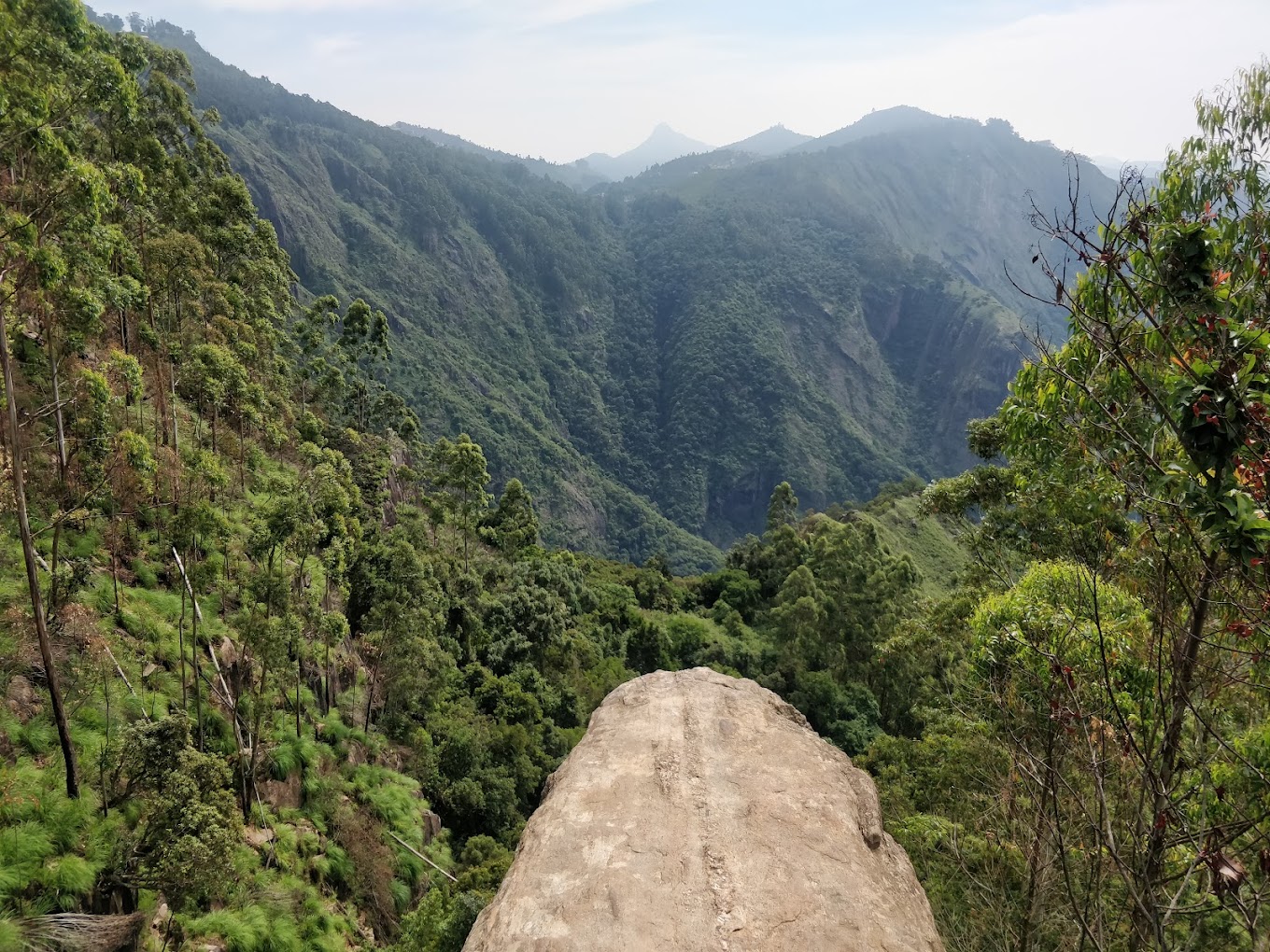 Dolphin Nose Kodaikanal: A Complete Guide