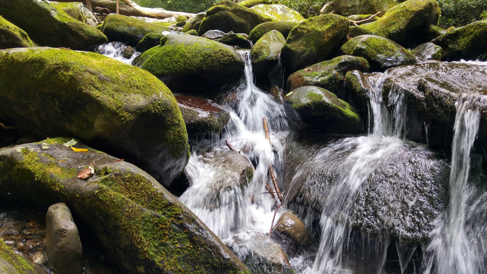 7 Best Places To Visit In Kotagiri