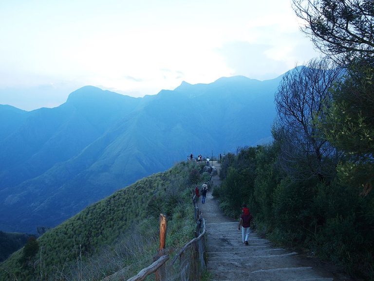 Walk Amidst The Clouds At Top Station Munnar