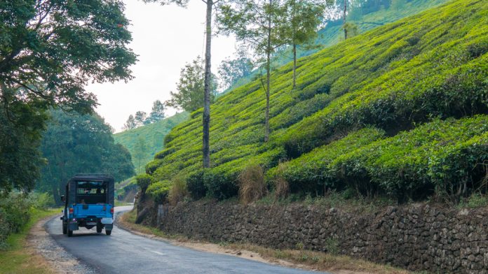 Walk Amidst The Clouds At Top Station Munnar