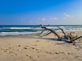Best Beaches In Pondicherry
