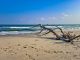 Best Beaches In Pondicherry