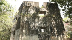 Top 14 Places To Visit In Fort Kochi