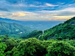 Our Guide To The Best Time To Visit Wayanad