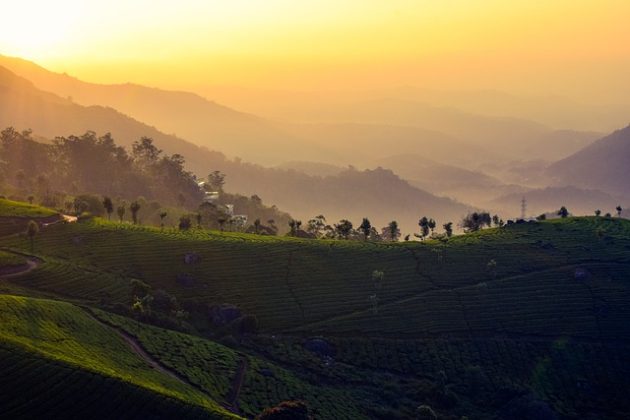 Discover The Best Time To Visit Munnar With Our Seasonal Guide