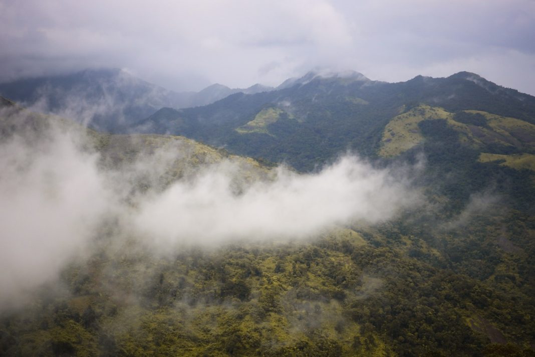 Our Guide To The Best Time To Visit Wayanad