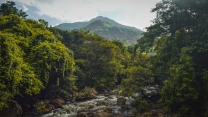 Guide To Kuruva Island Wayanad
