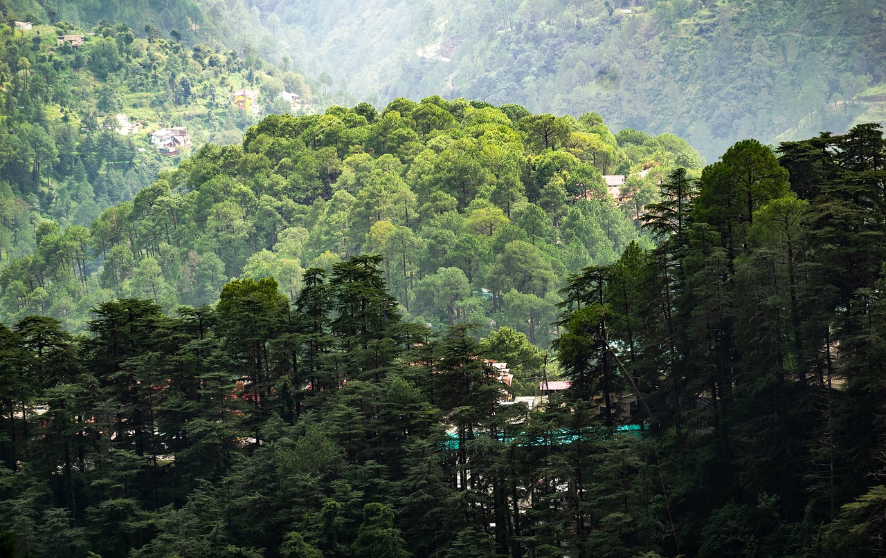 Season Wise Guide To The Best Time To Visit Shimla