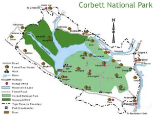 A Complete Guide To Jim Corbett National Park