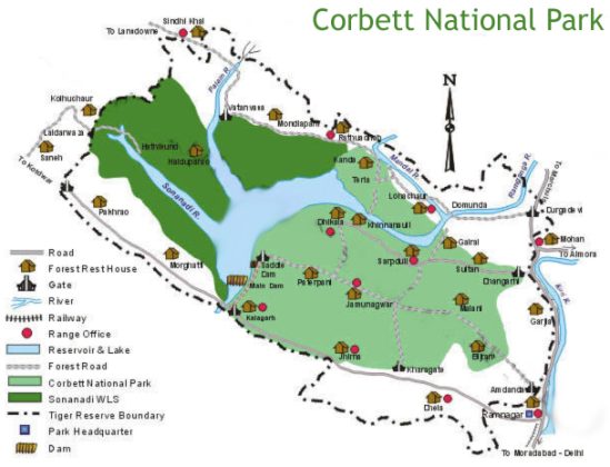 A Complete Guide To Jim Corbett National Park