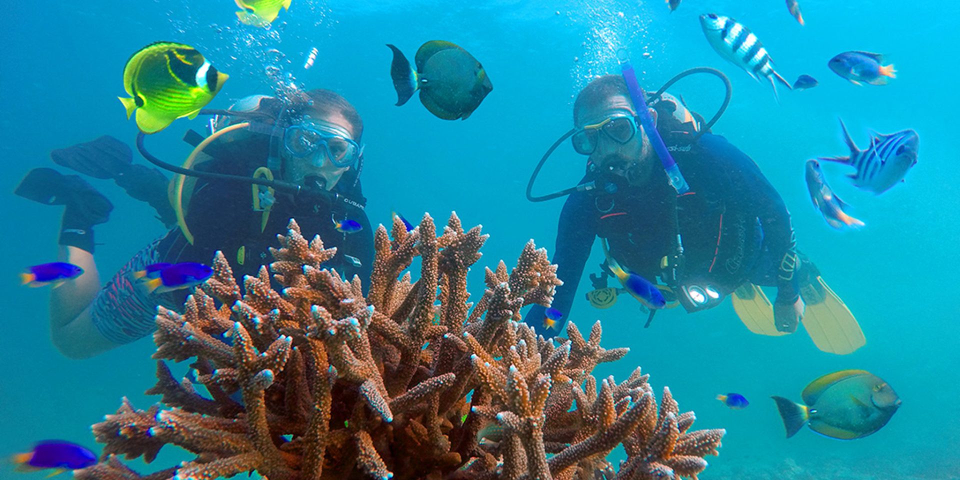 12 Things To Do In Seychelles For A Dreamy Tropical Vacation