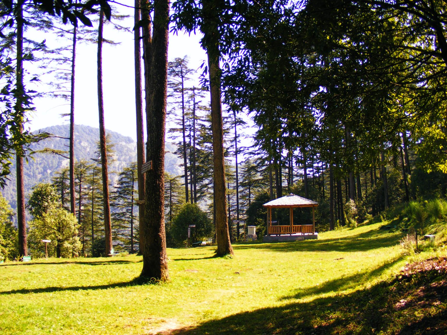 12 Best Places To Visit In Dhanaulti For A Pristine Getaway
