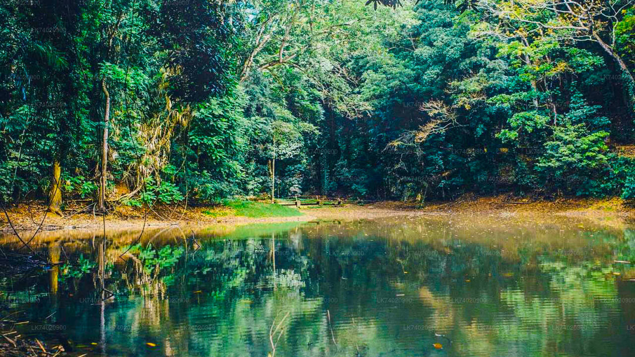12 Incredible Things To Do In Kandy City Sri Lanka